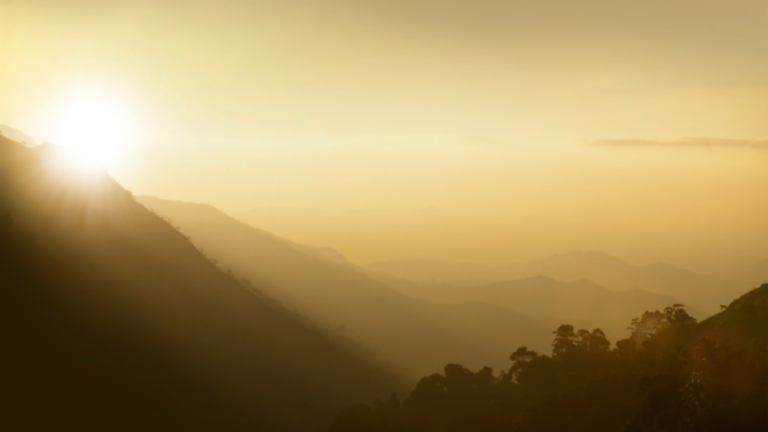 Five Leadership Reflections to Carry Into the New Year